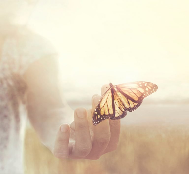 About Me - Freedom Compass Solution